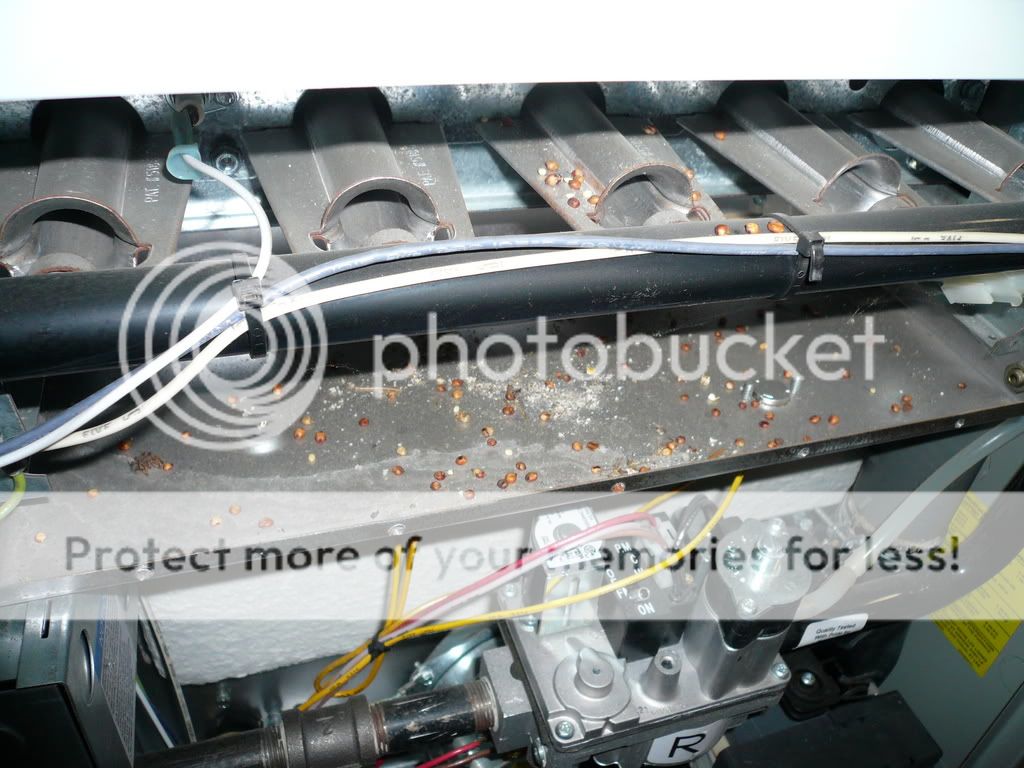 chipmunk going in Bayvent 200 - DoItYourself.com Community Forums