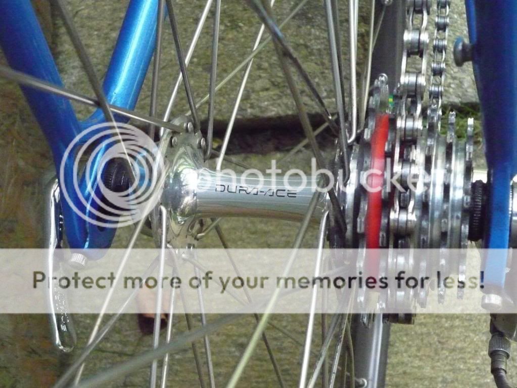 Proctor Townsend | Road Bike, Cycling Forums