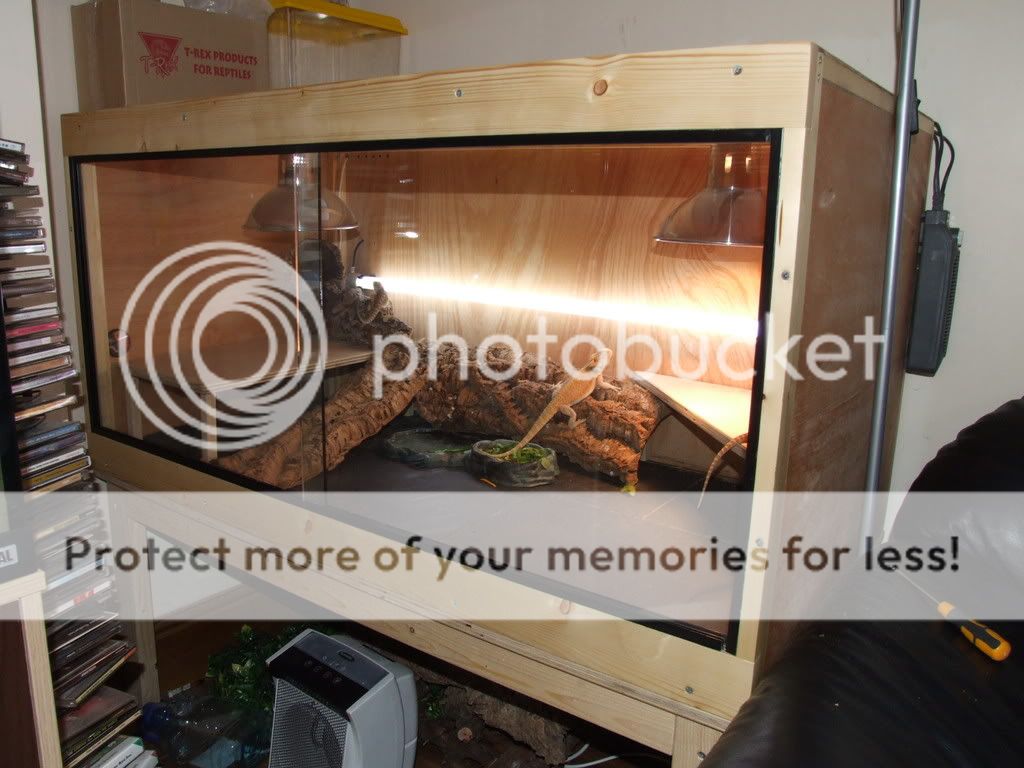 Iguana Viv Build Photo Diary | Reptile Forums