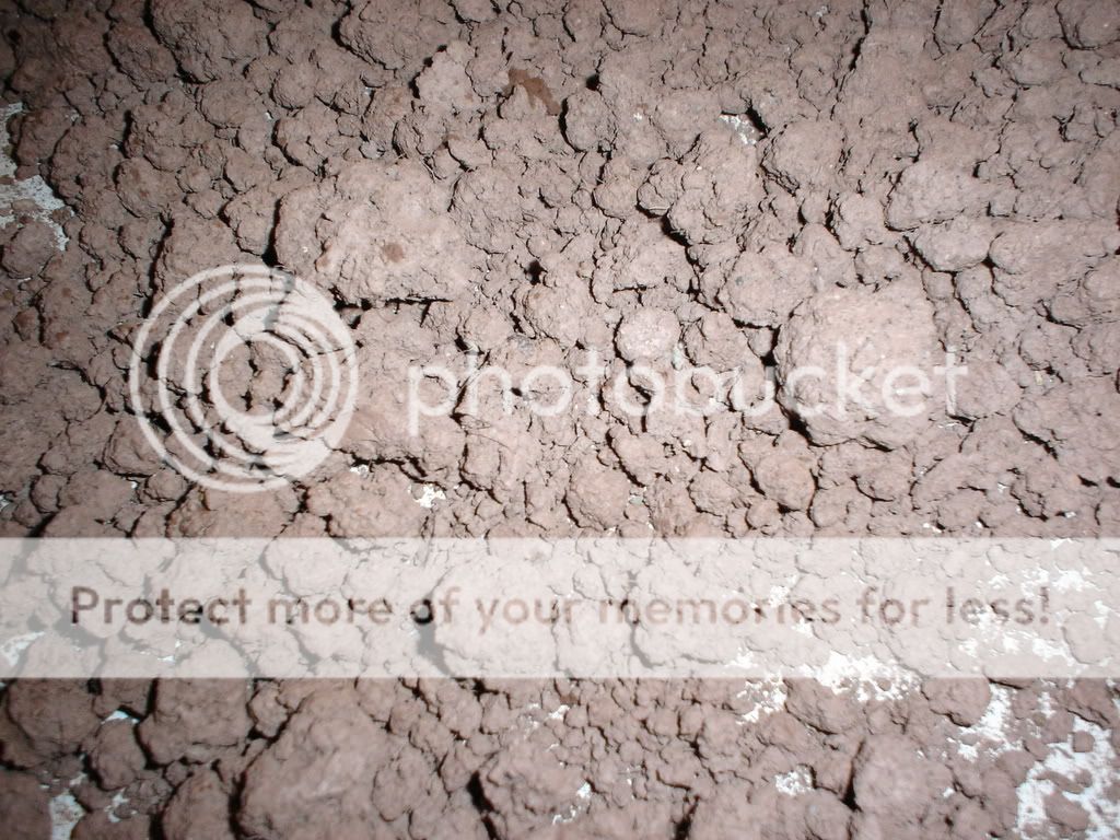 Clay Substrate at James Jain blog