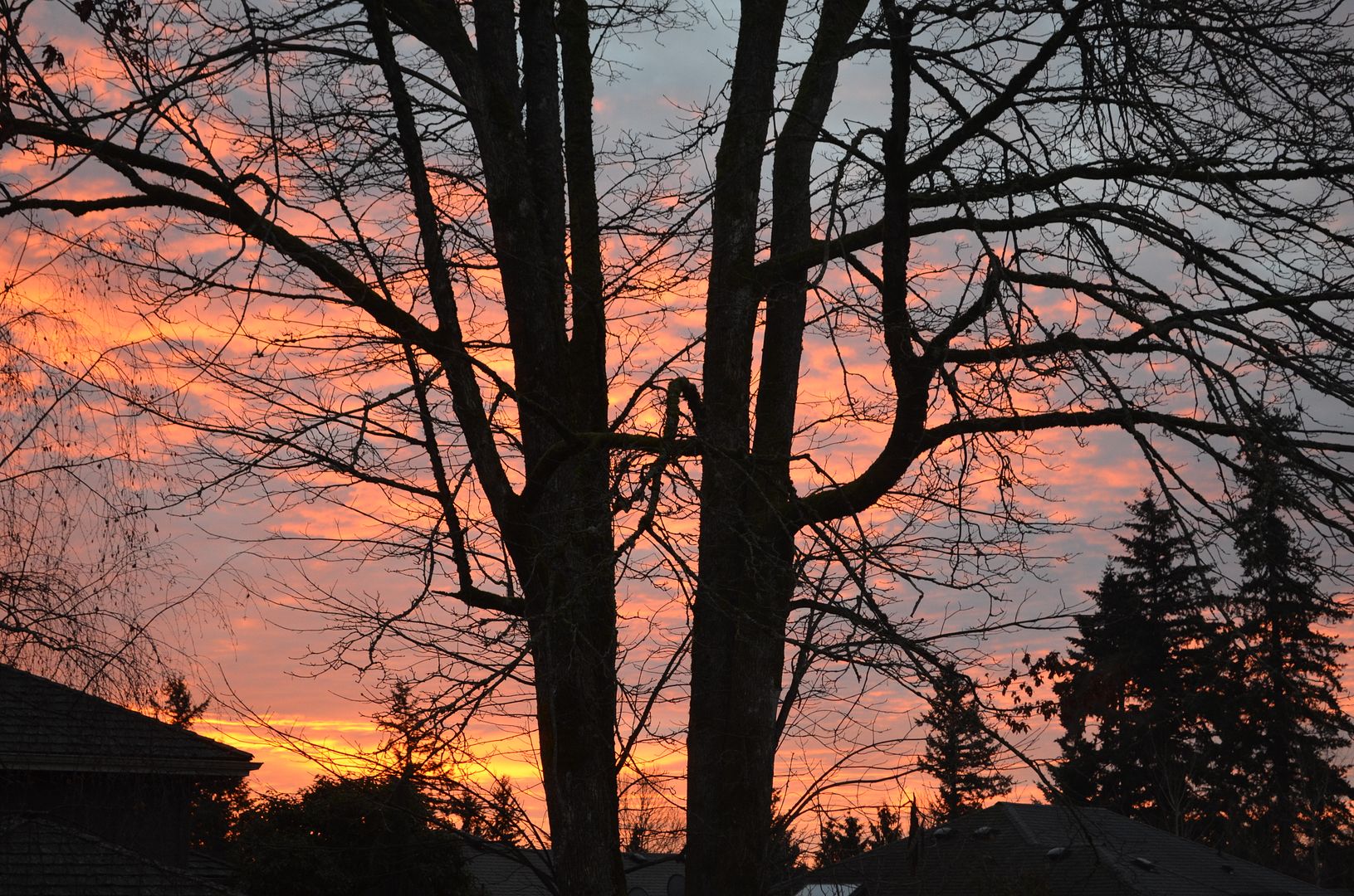 As the Sun Doth Daily Rise ~ Hymn | The Happy Wonderer ~ ellen b.