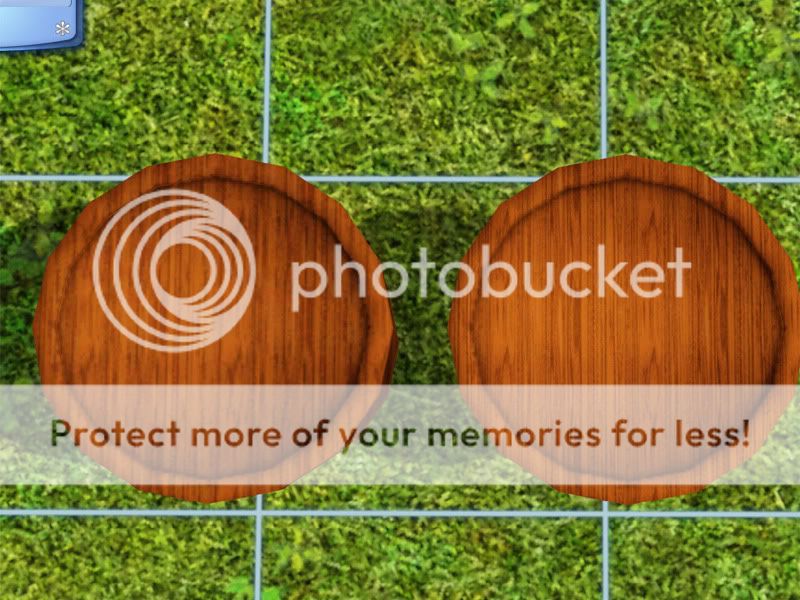 Mod The Sims - Blurry texture... sometimes